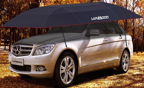 How to Protect Your Car from Fallen Leaf Damages?